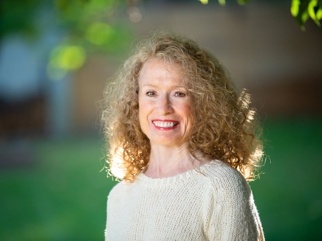 Ann Roecker - Apologetics Fiction